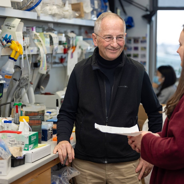 Research | The University of Iowa