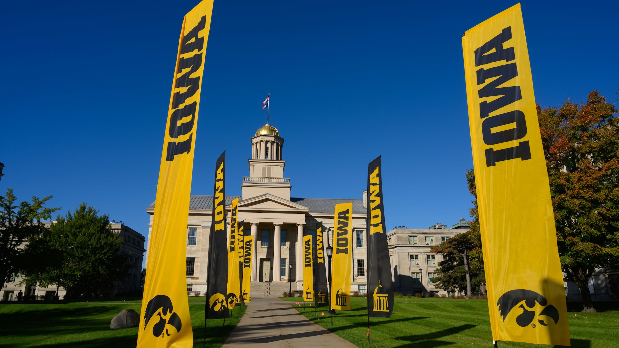 Safety and Support | The University of Iowa