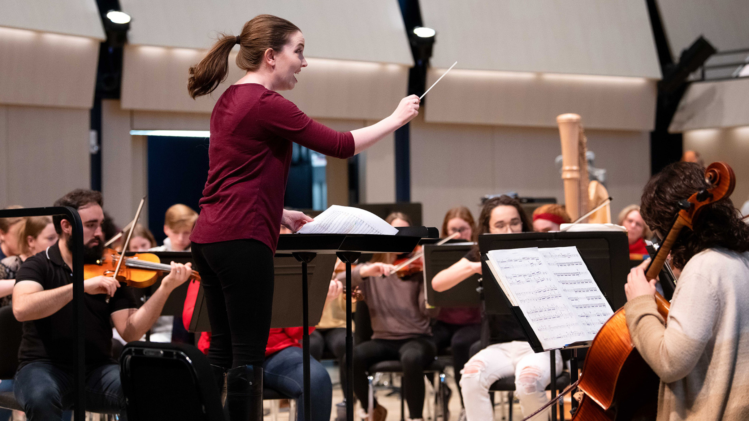 What is the best major for pre-med? | The University of Iowa - The ...